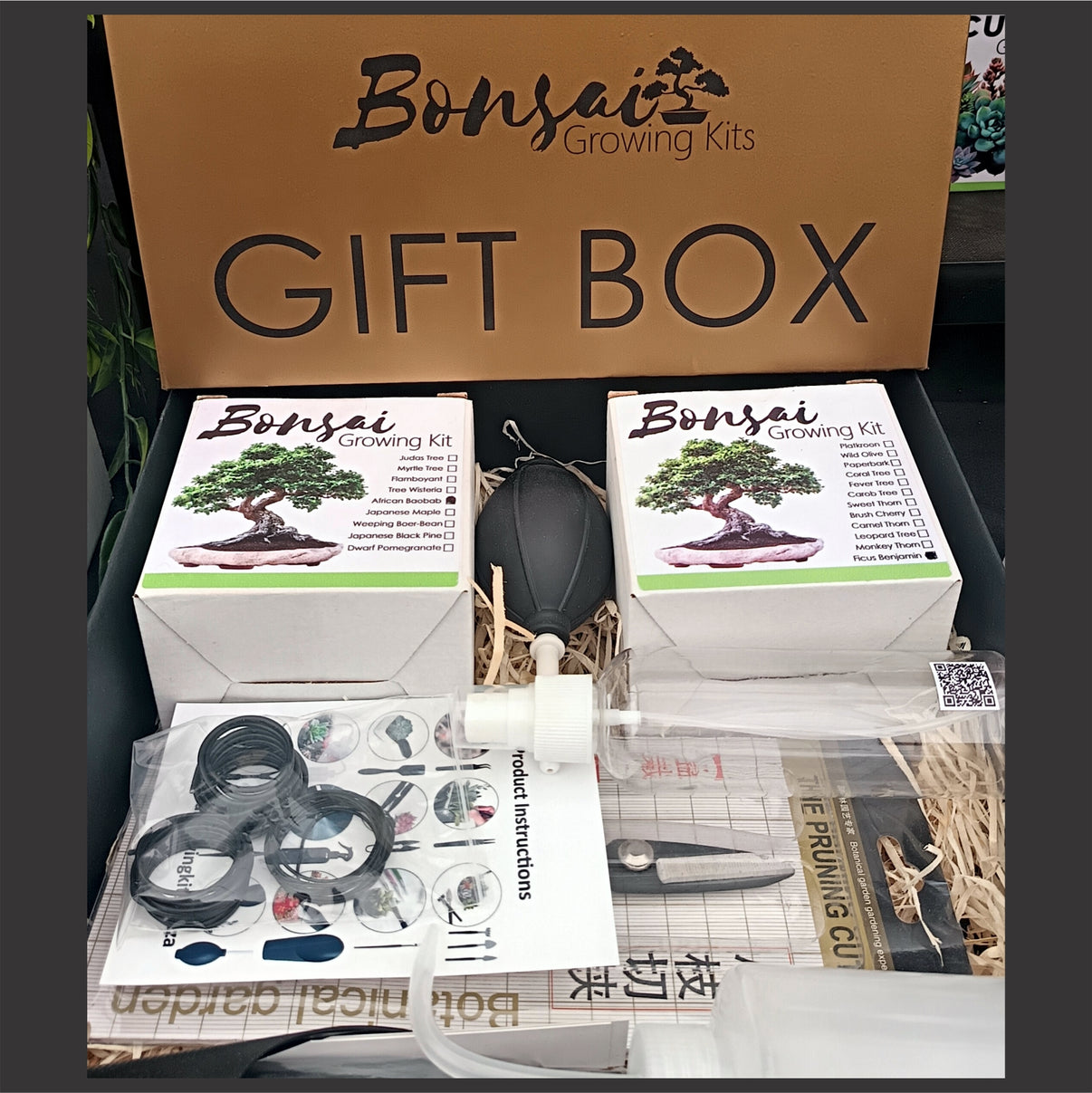 Bosai Gift Box – Bonsai Growing Kits