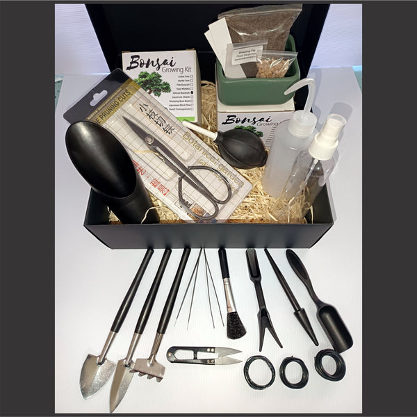 Bosai Gift Box – Bonsai Growing Kits